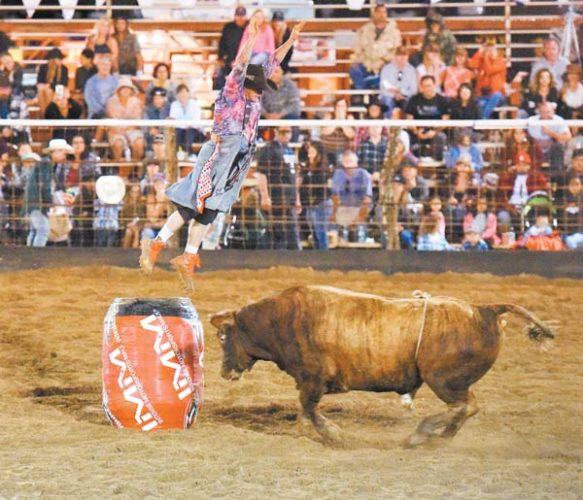 Makawao rodeo hopping | News, Sports, Jobs - Maui News